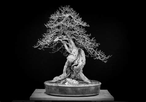 🎖 Bebis Som Inte Bajsar 5 Sätt Att Lösa Problemet Snabbt