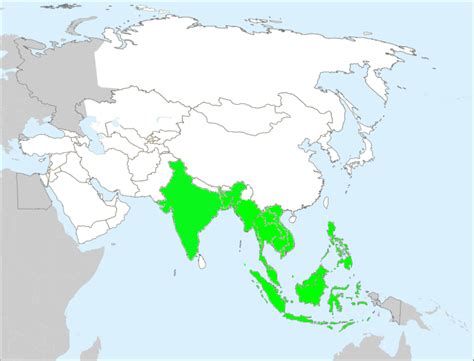 Python Réticulé Définition Et Explications