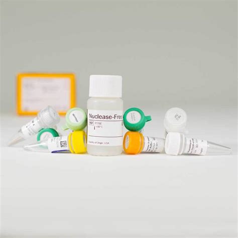 Reverse Transcriptase System Promega Rt Pcr And Cdna Reagents