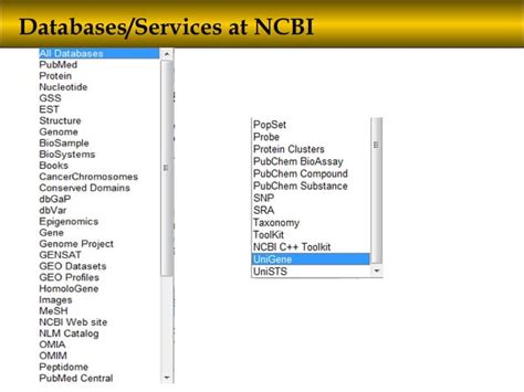 Primary Databases Ncbi Ppt