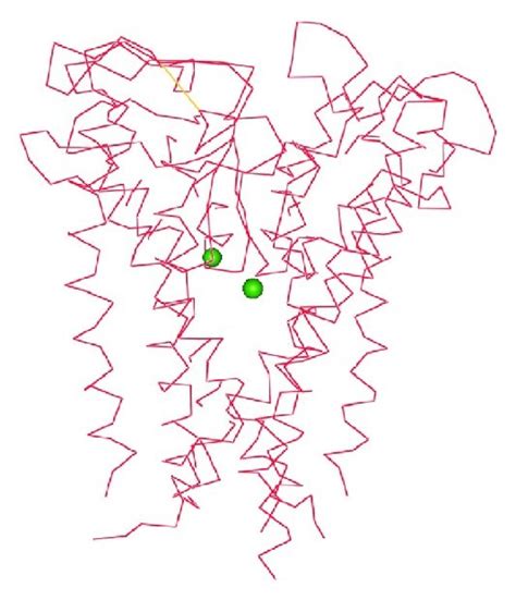 3d Structure Of Dhp Receptor Model A Superimposition Between