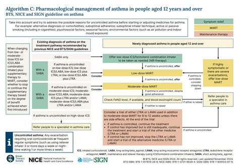 Asthma Diagnosis And Management Geeky Medics Asthma Diagnosis And Management Geeky Medics