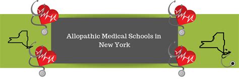 Medical Schools In New York Rankings And Information 2026