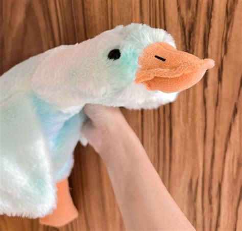 售 鵝娃娃！ 中原大學板 Dcard