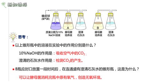 5 3 1 探究酵母菌细胞呼吸的方式、有氧呼吸课件 共28张ppt，含3个视频 2024 2025学年高一生物学人教版（2019）必修1