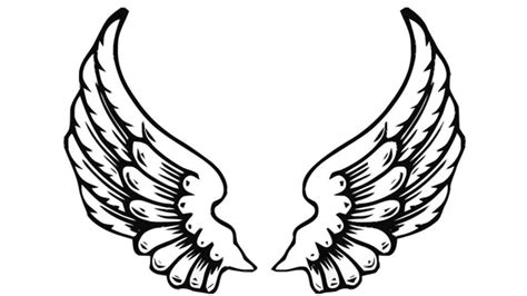 Eagle Wings Sketch At Explore Collection Of Eagle