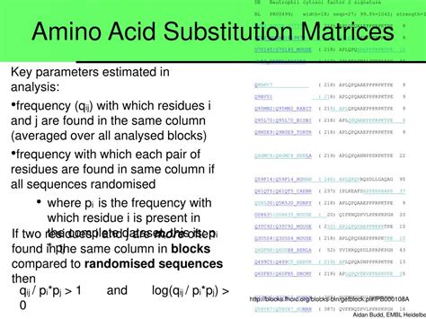 ppt pairwise alignments and sequence similarity based searching