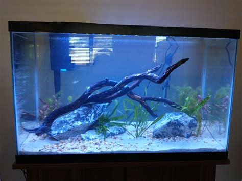 Joining Two Aquariums Together At Jasper Saranealis Blog