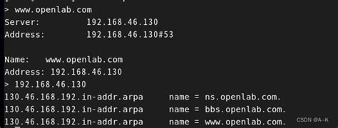 Linux Dns正反向解析linuxdns反向解析配置 Csdn博客