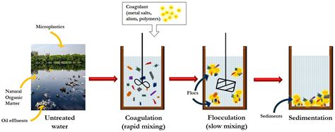 Microplastics In The Ecosystem An Overview On Detection Removal Toxicity Assessment And