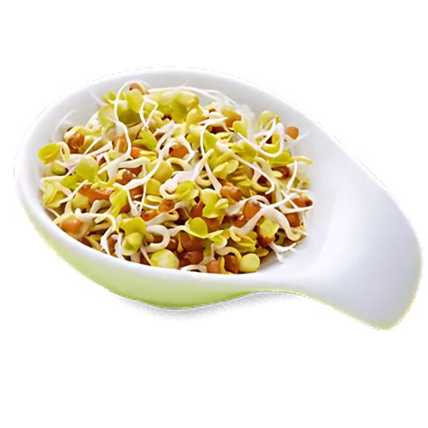 Food Items Food Items Ybto5 Roboflow Universe