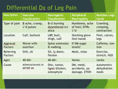 Ch 16 Screening The Lower Quadrant Buttock Hip Groin Thigh And Leg Flashcards Quizlet