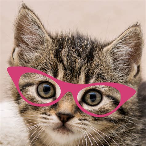 Our 9 Favorite Cat Eye Glasses Catcon Worldwide