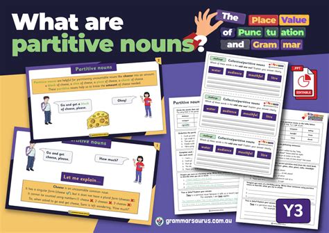 Ready For Place Value Of Punctuation And Grammar Subject Verb Focus Pronouns Application
