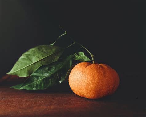 Better Still Life Photos Top 10 Tips Amateur Photographer