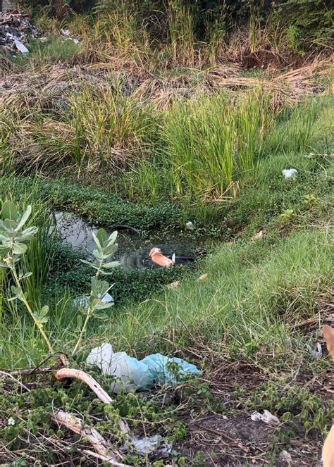 Mootoo Mootoo Added A New Photo