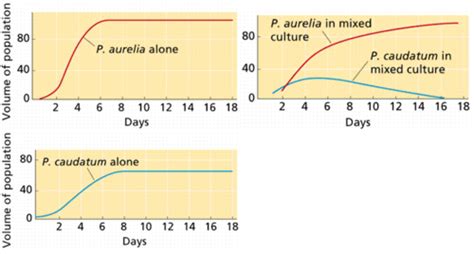 Unit 6 Bio 170 Flashcards Quizlet