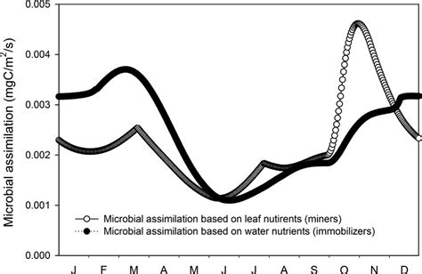 Microbial Assimilation By Miners And Immobilizers From The Simulation Download Scientific