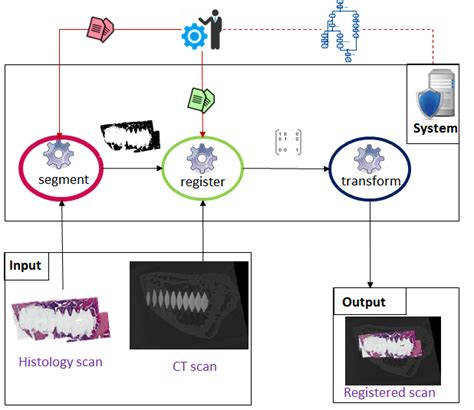 Image Registration Process Download Scientific Diagram