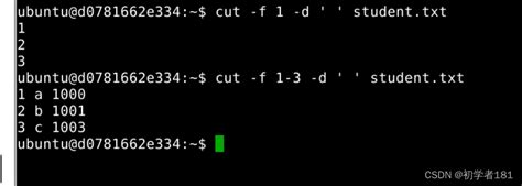 Linux常用命令按章节的实验报告7linux常用命令实验报告图片 Csdn博客