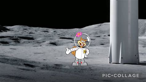 Sandy Cheeks On The Moon By Christhemerfolkguy On Deviantart