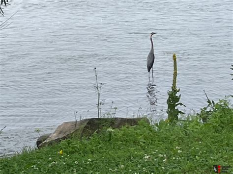 Lenco L78 For Sale Uk Audio Mart