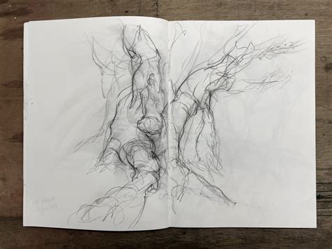 Drawing A New Tree In My Sketchbook Tansy Lee Moir