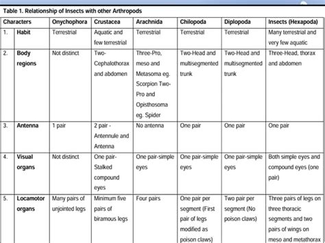 Lecture 2 Classification Of Phylum Arthropoda Upto Classes And Position