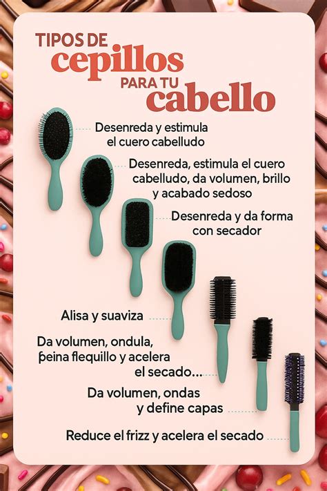Cosmetología Guía Práctica De Cepillos Para Tu Cabello El Cepillo