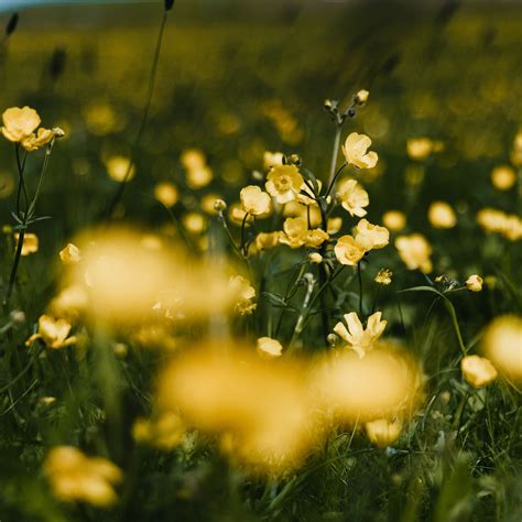 Bioeffect Bioeffect 30 Day Treatment Is A Triple Action Treatment