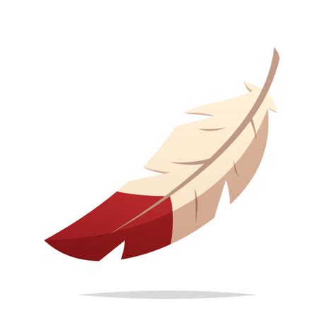 Eagle Feather Illustration