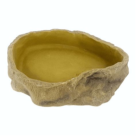 Juvenile Python Kit Buy Online Viper Reptile