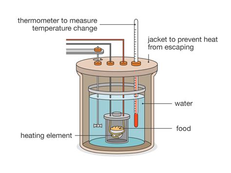 Food Calorimetry Examples At Hilda Connor Blog