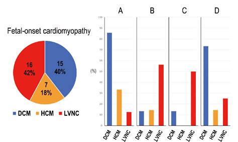 Figure 1 From Left Ventricular Noncompaction Develops Even In Late Fetal Life The Need For