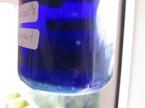 Gluons Lab Copper Hydroxide And Schweizers Reagent