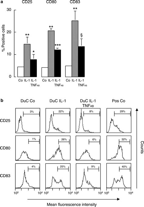 Effect Of Duct Cell Medium On The Activation Of Dendritic Cells Download Scientific Diagram