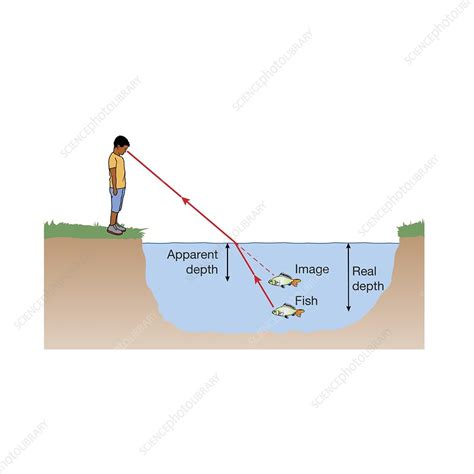 Refraction In A Fish Pond Illustration Stock Image C0508738