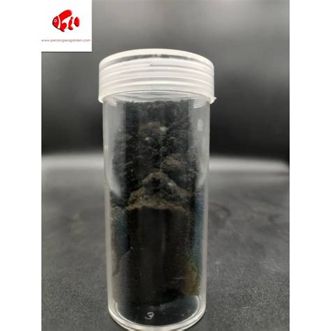 Potassium Permanganate Pp 30 Gram For Fish Medication Shopee Malaysia