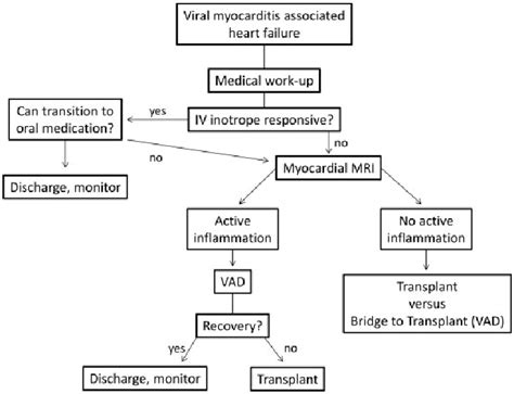 Decision Making Algorithm For Management Of Acute Viral Myocarditis
