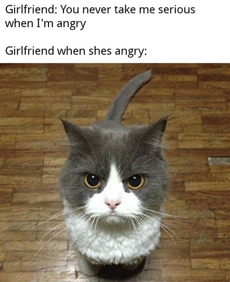 Angry Meme
