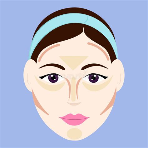 Contour Or Highlight By Oval Face Shape Female On Blue Stock