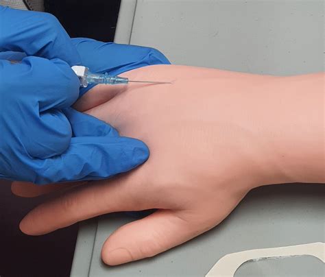 Phlebotomy Basics Phlebotomy Basics Knowledge Saves Lives