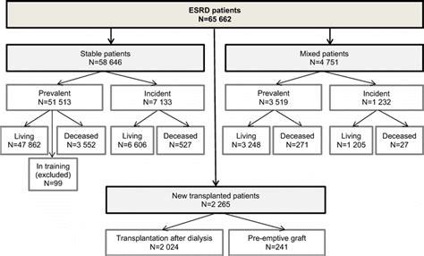 Flow Chart Of The Esrd Patients Repartition Download Scientific Diagram