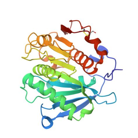 Rcsb Pdb 8gzd Crystal Structure Of A Novel Alpha Beta Hydrolase From Thermomonospora Curvata