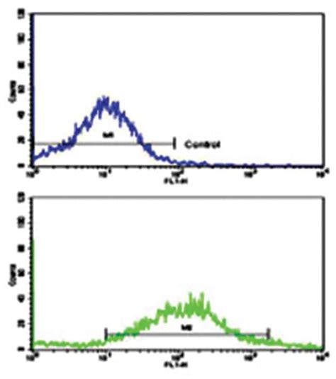 Anti Cdh6 Antibody 400ul