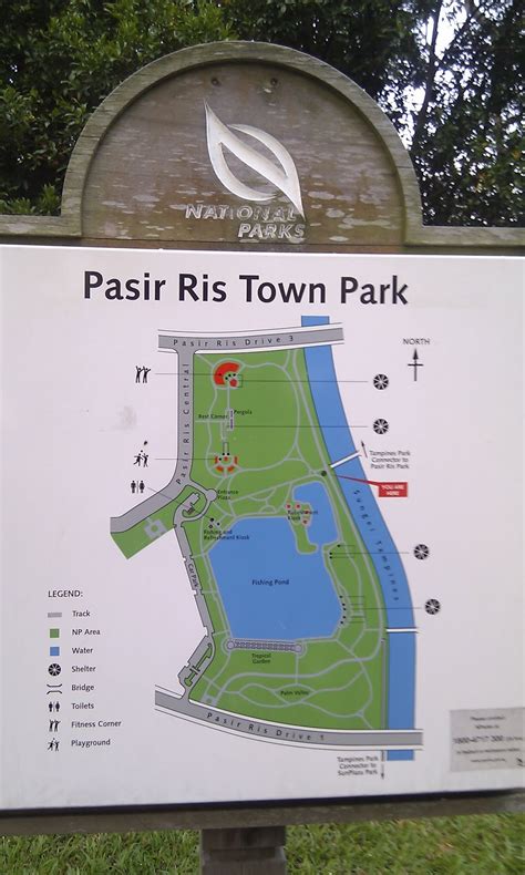 Everything Jonathan Pasir Ris Parks