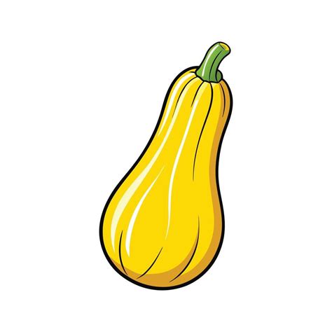 Yellow Squash Clipart Yellow Squash Nutrition Facts And Calories