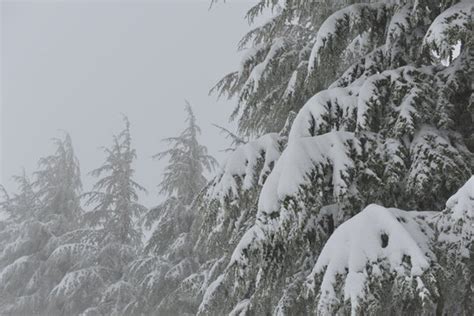 Imagens De Fozen Explore Fotografias Do Stock Vetores E Vídeos De