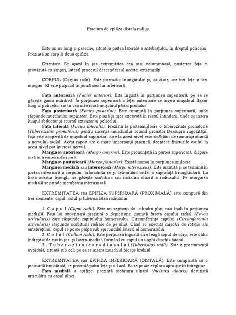 Fractura De Epifiza Distala Radius Pdf