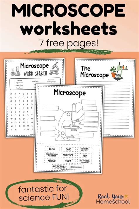 Free Microscope Worksheets For Simple Science Fun For Your Students
